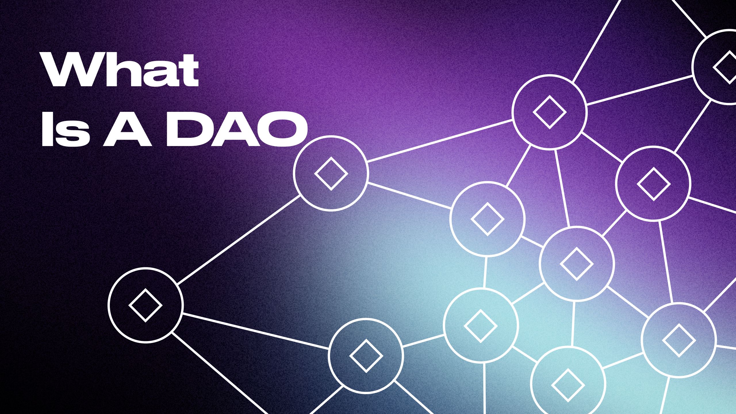 What Is a DAO? All The Basics Covered
